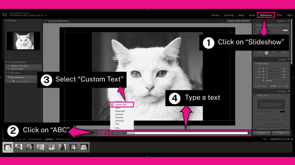 Adding Text in Lightroom — Here's How It's Done