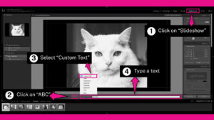 Adding Text in Lightroom — Here's How It's Done
