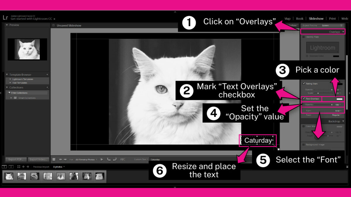 Adding Text in Lightroom — Here's How It's Done