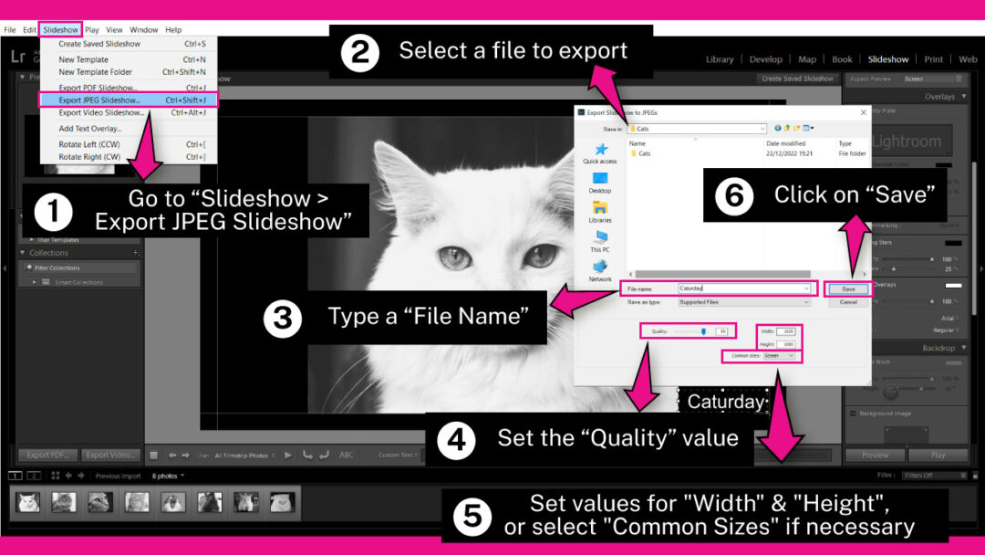 Adding Text in Lightroom — Here's How It's Done