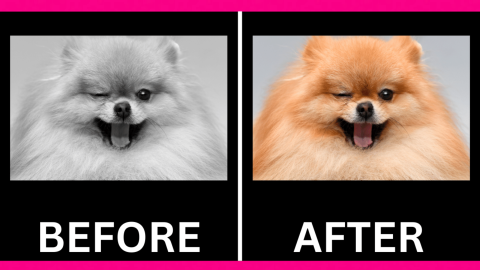 How to Colorize a Black & White Photo without Photoshop